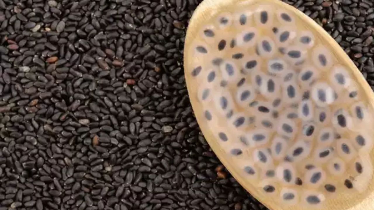 Sabza Seed Benefits: सब्ज़ा सीड के अद्भुत स्वास्थ्य लाभ